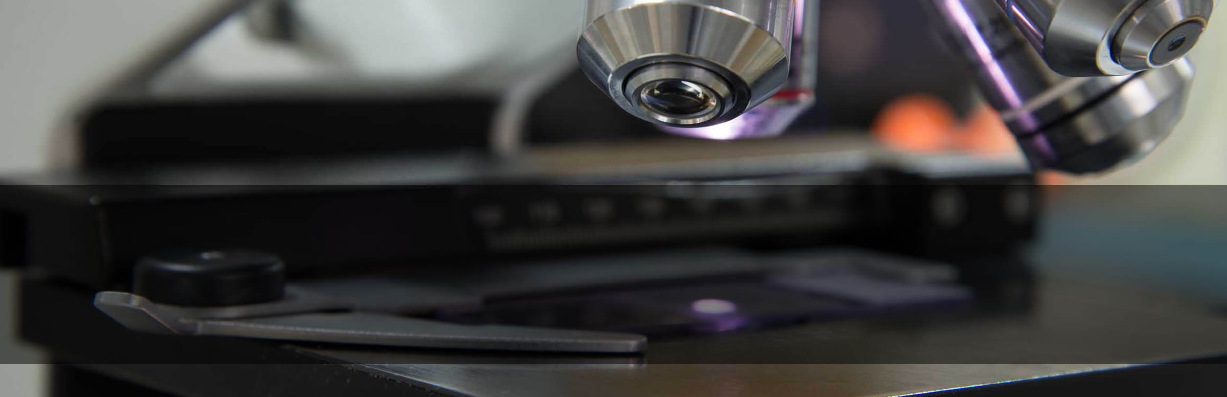 Diagnostic Pathology Medical Group, Inc.