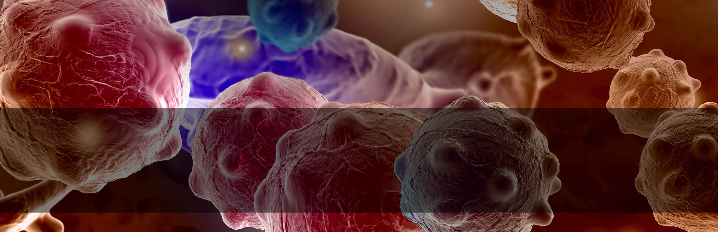 Diagnostic Pathology Medical Group, Inc.